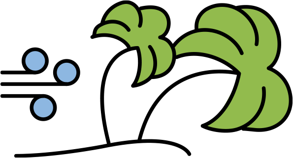 Wind & Hail coverage for every policy - Aspera Insurance Services, Inc.